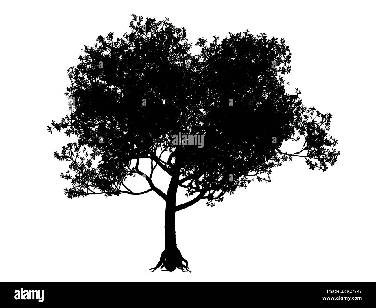 3d rendering of a silhouette tree isolated on white background Stock ...