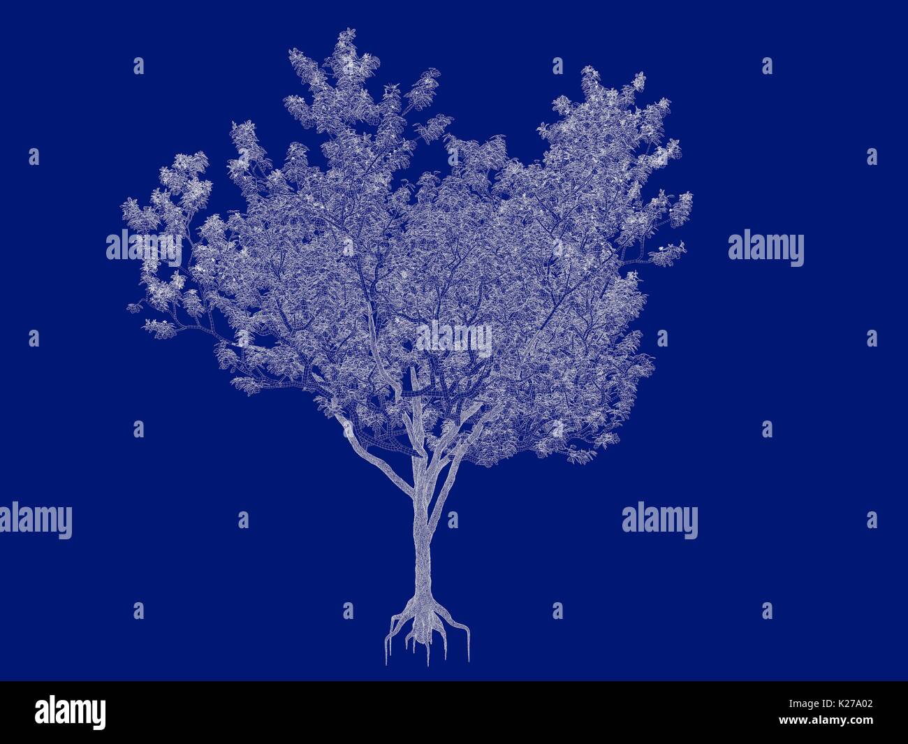 3d rendering of an outlined tree blueprint isolated on blue background ...