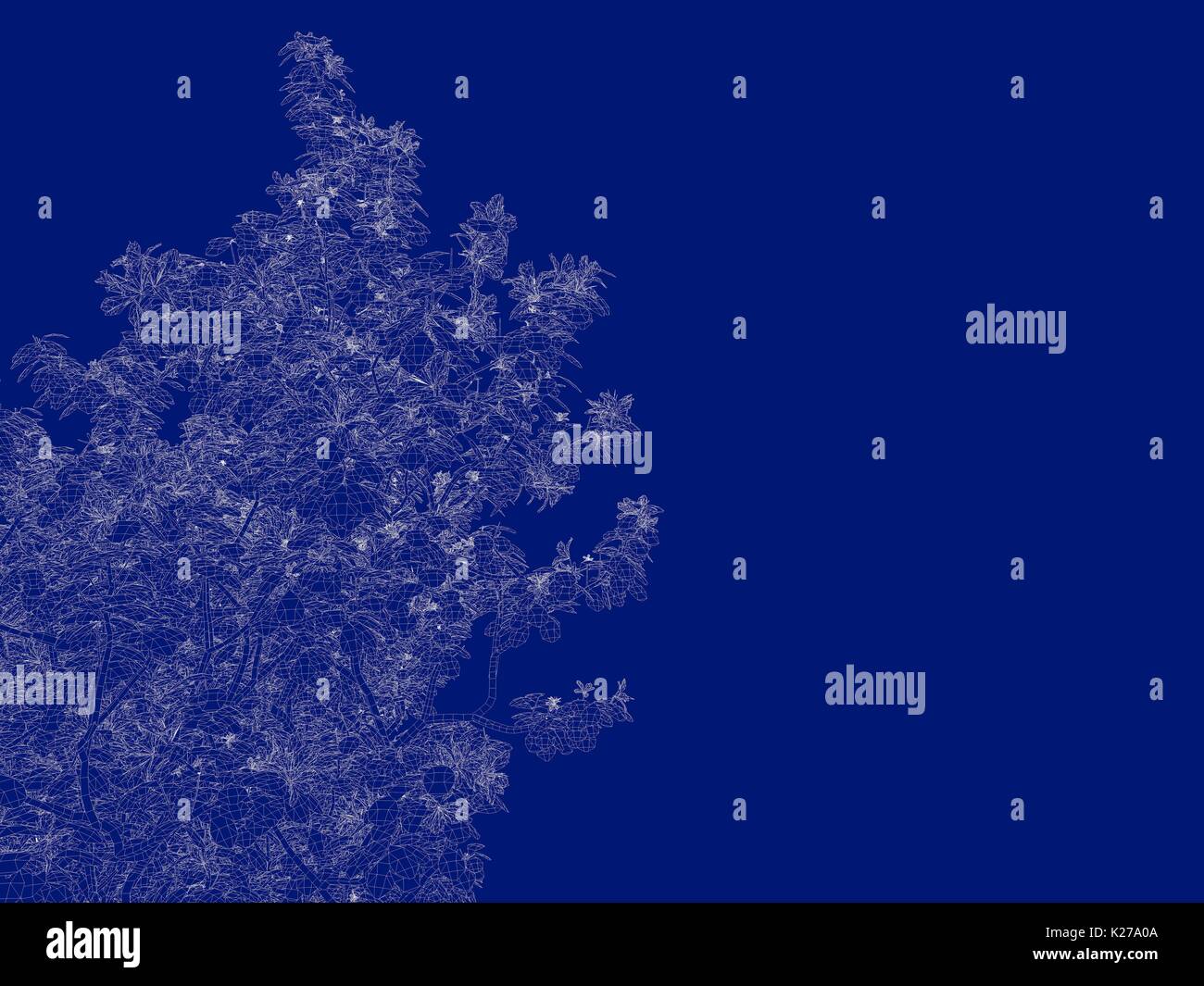 3d rendering of an outlined bush blueprint isolated on blue background ...