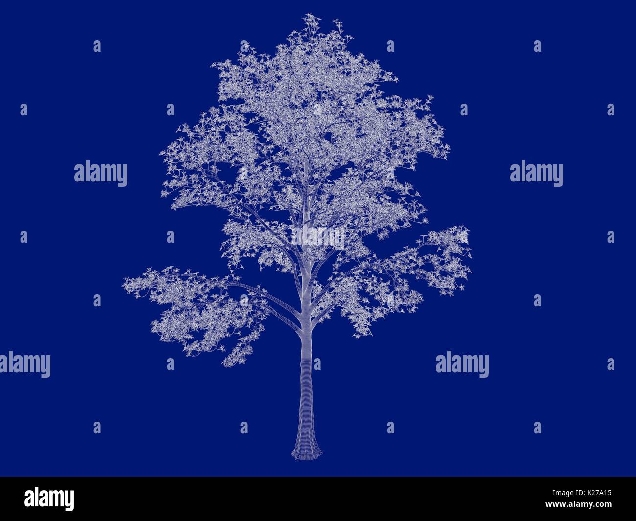 3d rendering of an outlined tree blueprint isolated on blue background ...