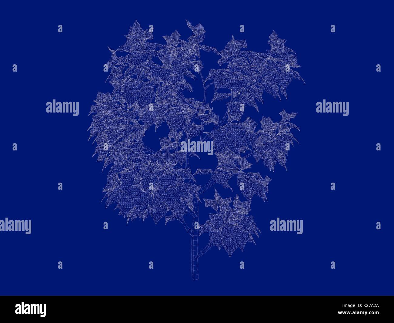 3d rendering of an outlined tree blueprint isolated on blue background ...