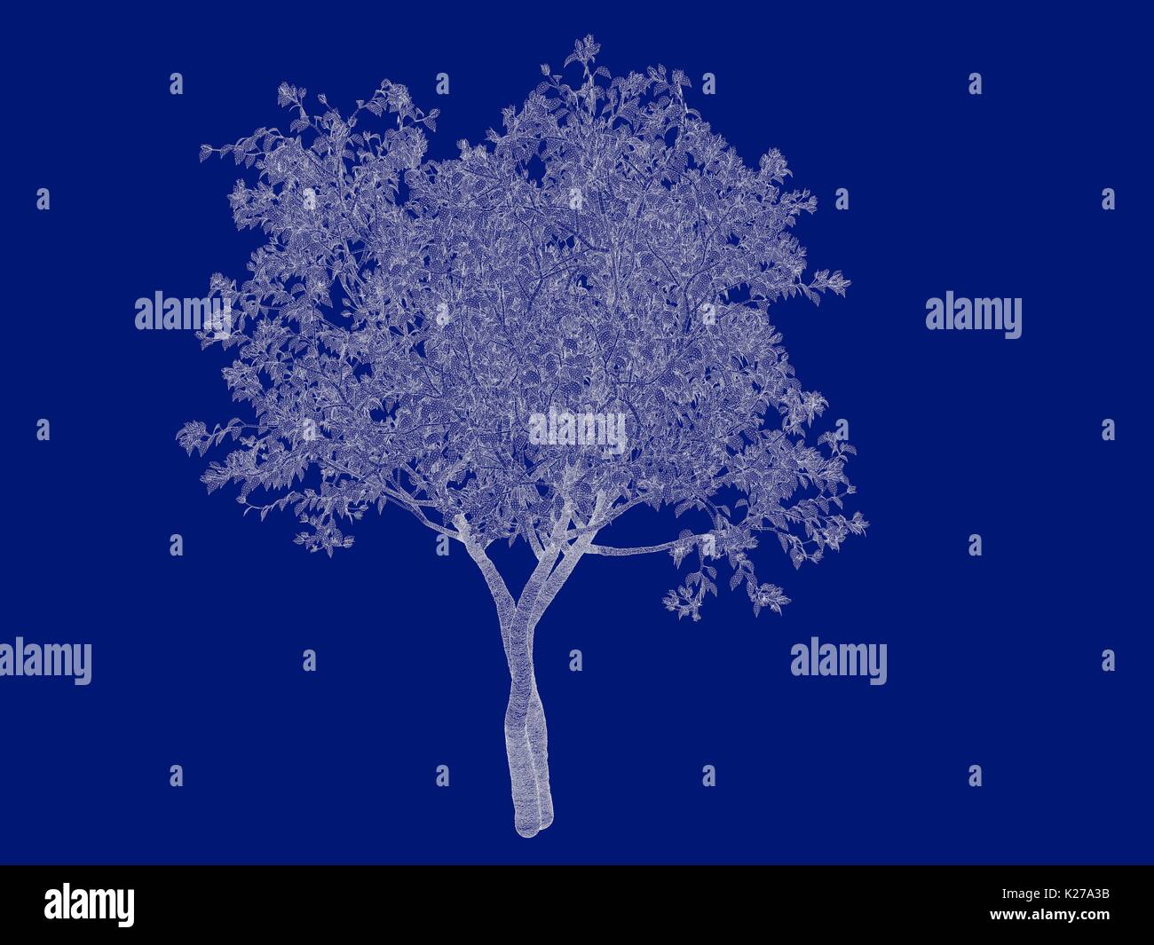 3d rendering of an outlined tree blueprint isolated on blue background ...