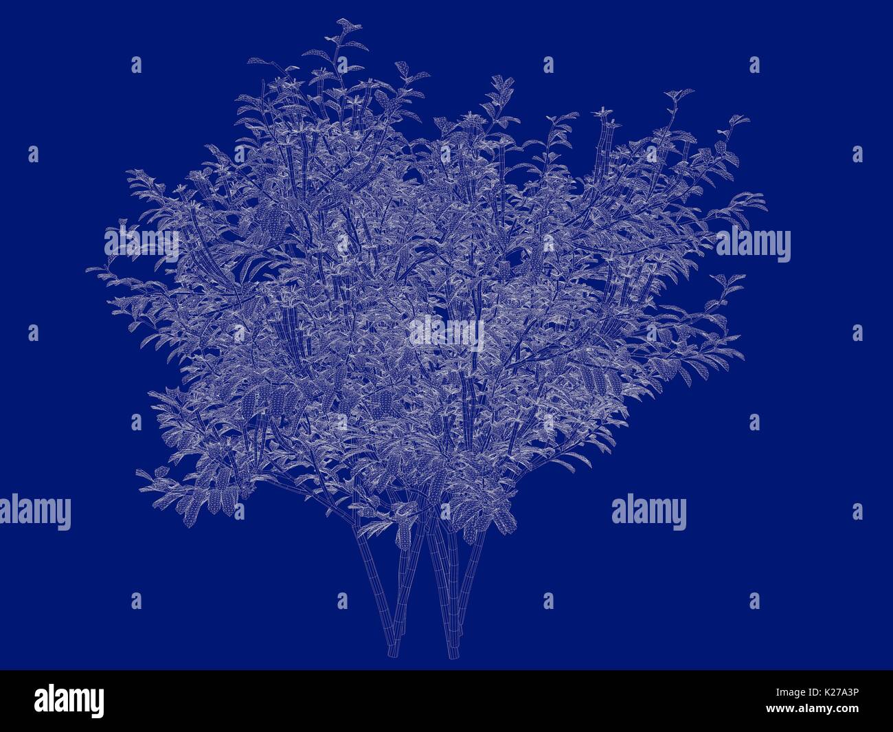 3d rendering of an outlined tree blueprint isolated on blue background ...