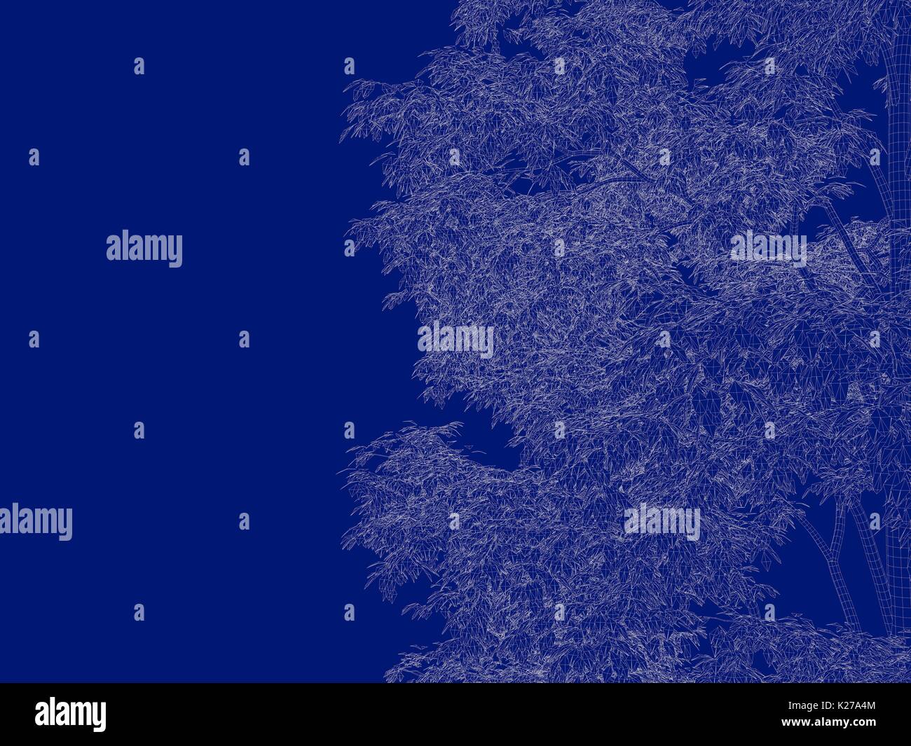 3d rendering of an outlined tree blueprint isolated on blue background ...