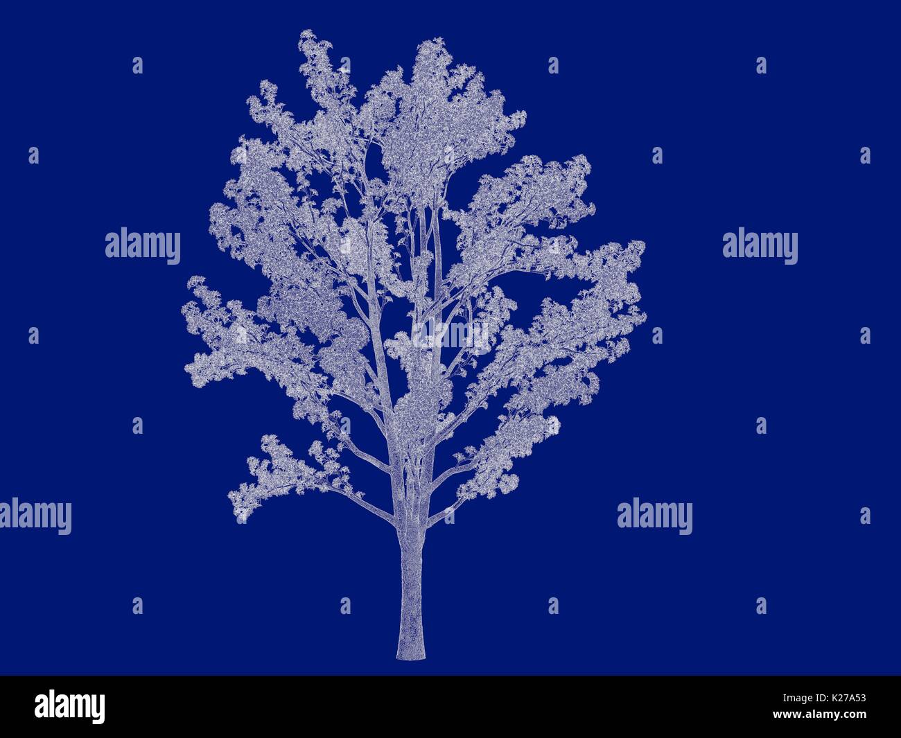 3d rendering of an outlined tree blueprint isolated on blue background ...