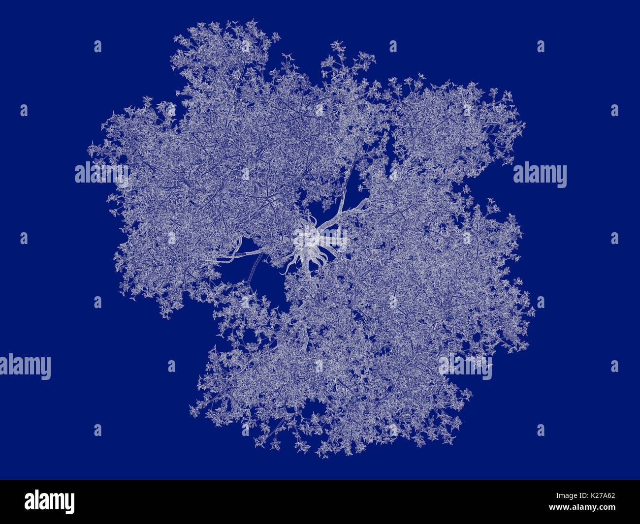 3d rendering of an outlined tree blueprint isolated on blue background ...