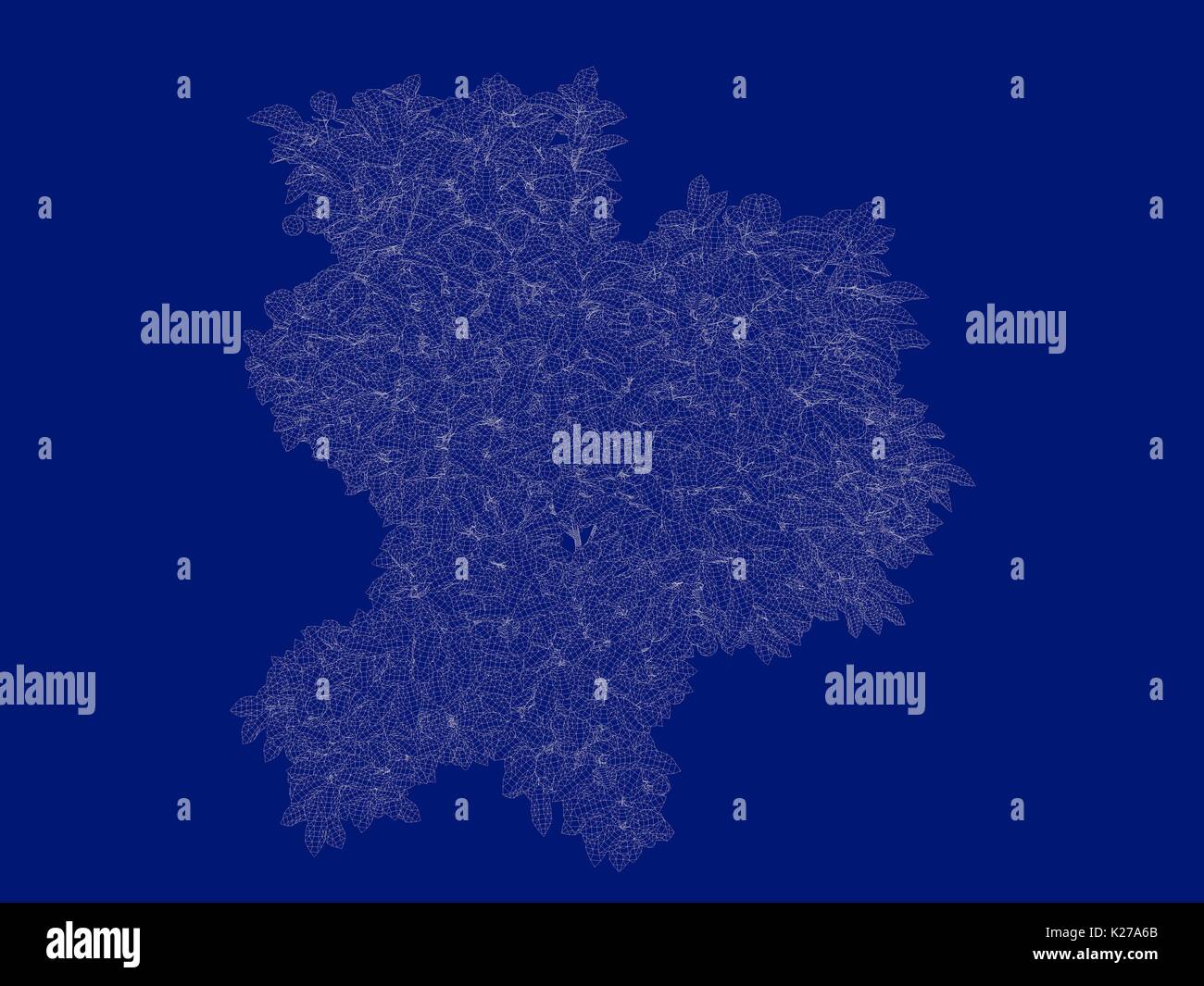 3d rendering of an outlined tree blueprint isolated on blue background ...