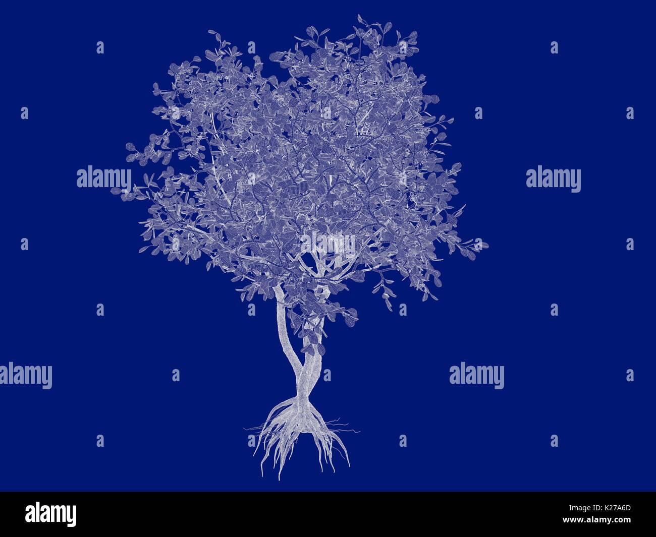 3d rendering of an outlined tree blueprint isolated on blue background ...