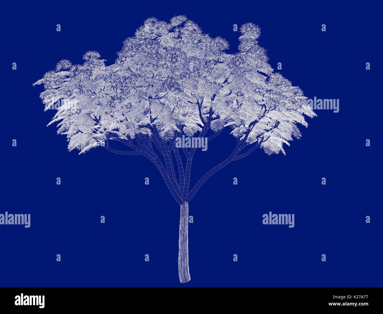 3d rendering of an outlined tree blueprint isolated on blue background ...