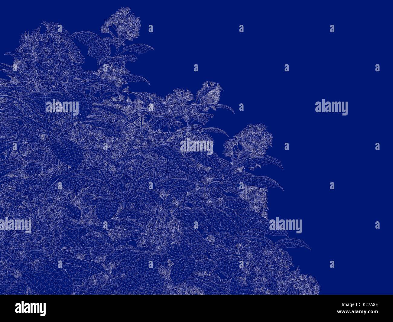 3d rendering of an outlined tree blueprint isolated on blue background ...