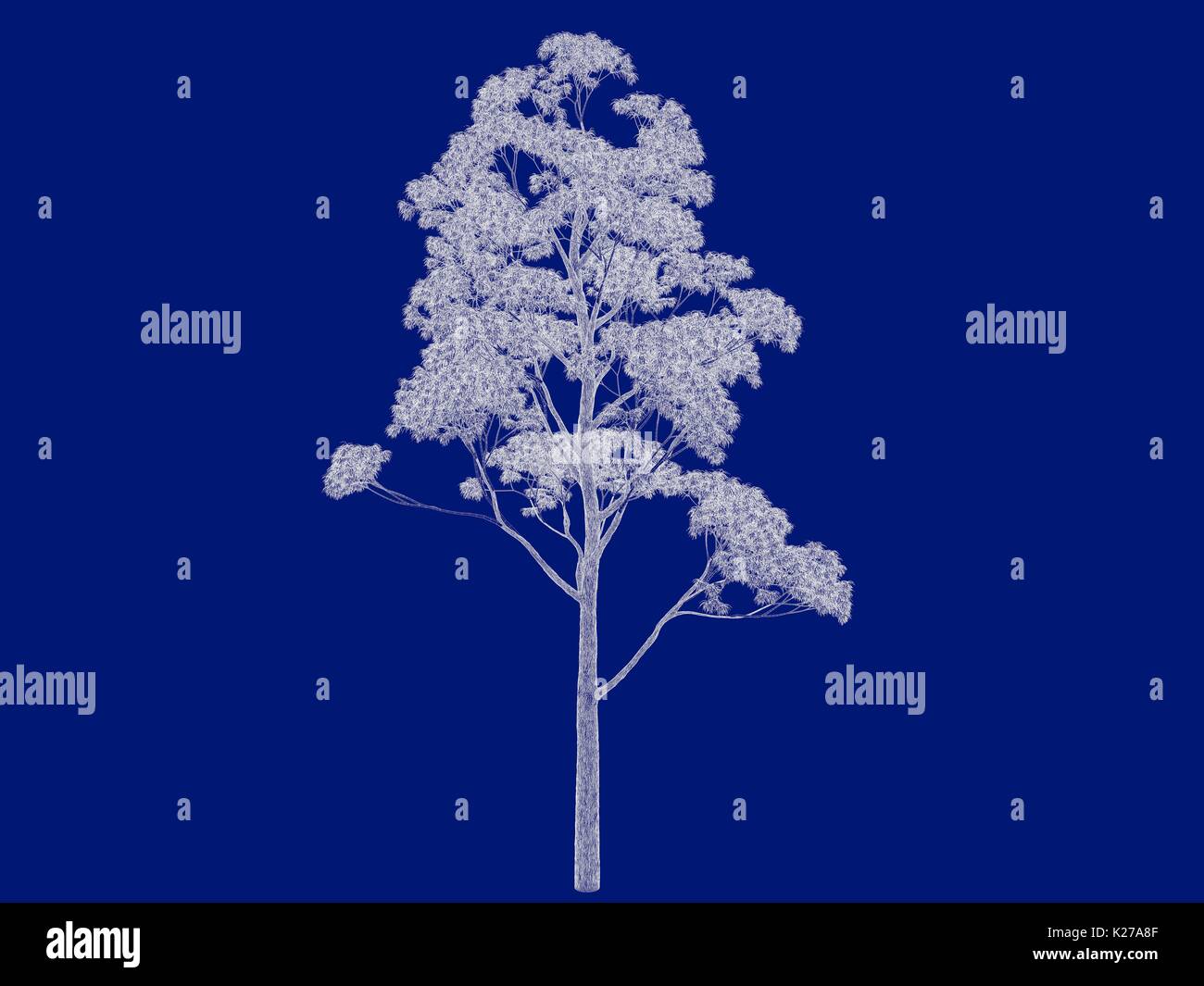 3d rendering of an outlined tree blueprint isolated on blue background ...