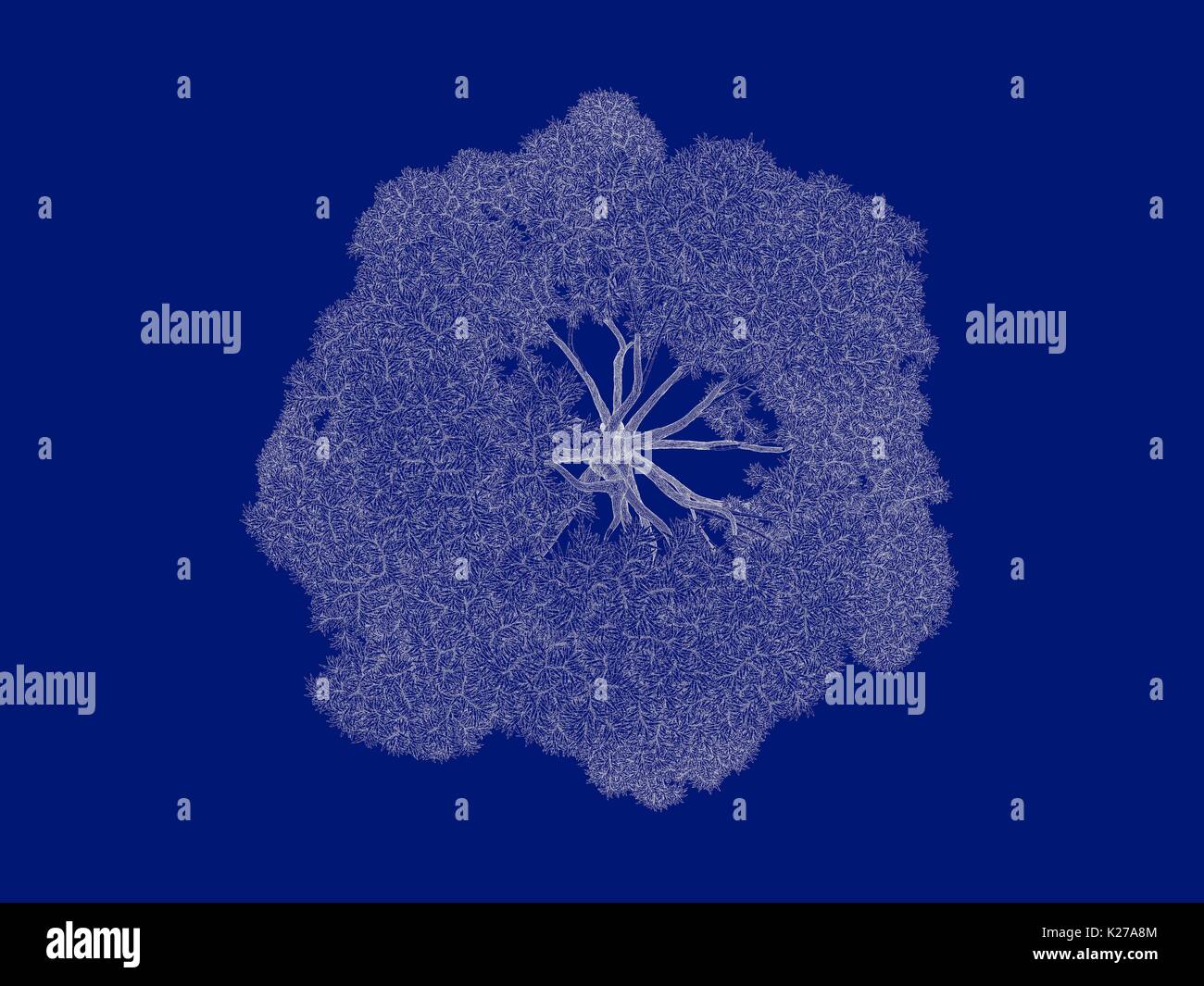 3d rendering of an outlined tree blueprint isolated on blue background ...