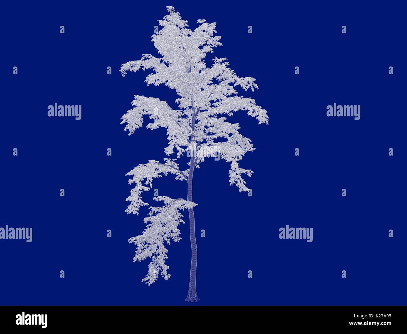 3d rendering of an outlined tree blueprint isolated on blue background ...