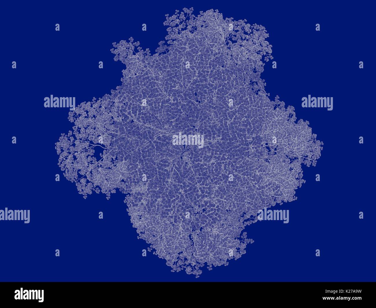 3d rendering of an outlined tree blueprint isolated on blue background ...
