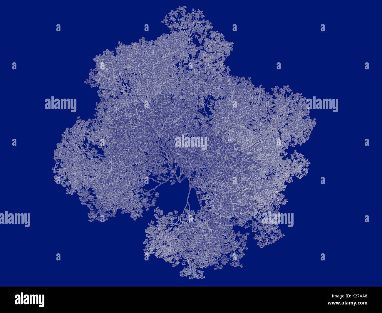 3d rendering of an outlined tree blueprint isolated on blue background ...
