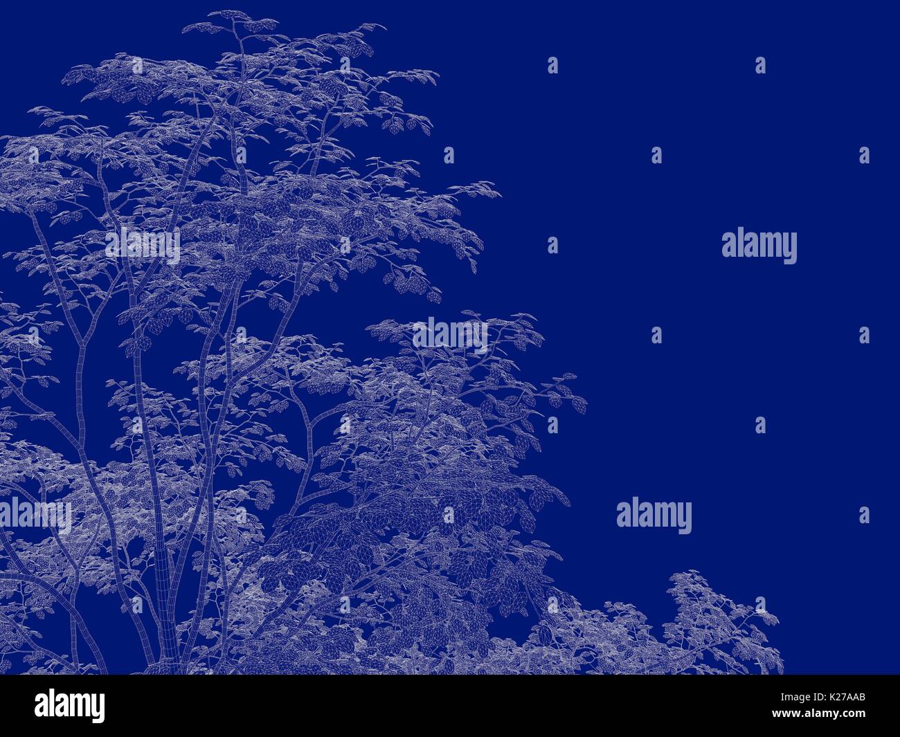 3d rendering of an outlined tree blueprint isolated on blue background ...