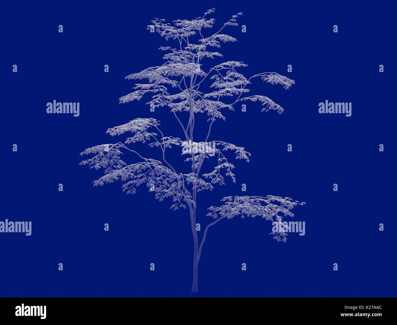 3d rendering of an outlined tree blueprint isolated on blue background ...