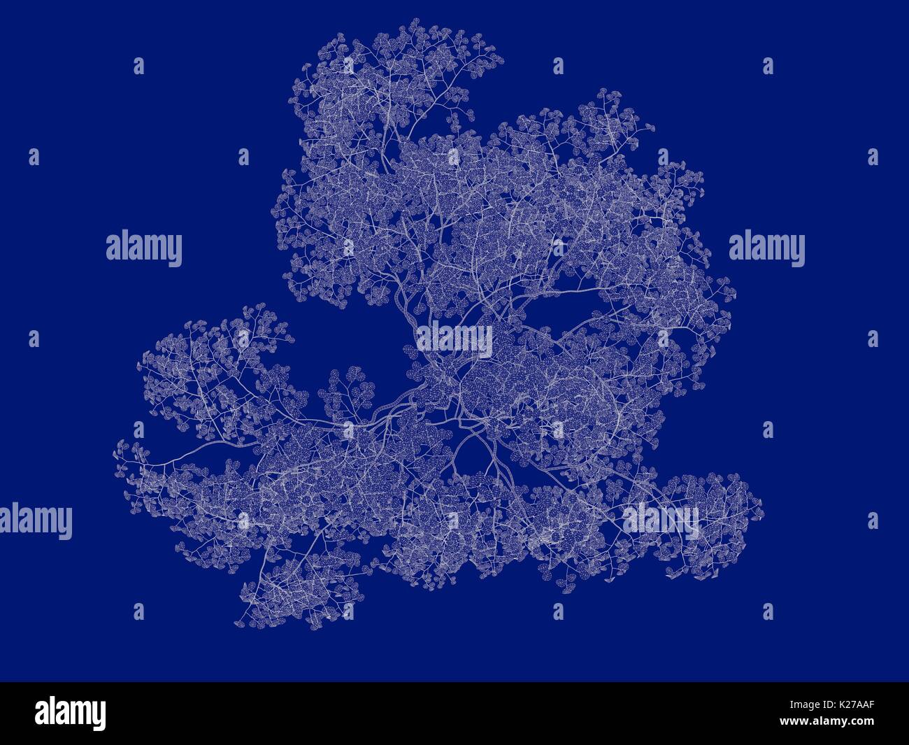 3d rendering of an outlined tree blueprint isolated on blue background ...