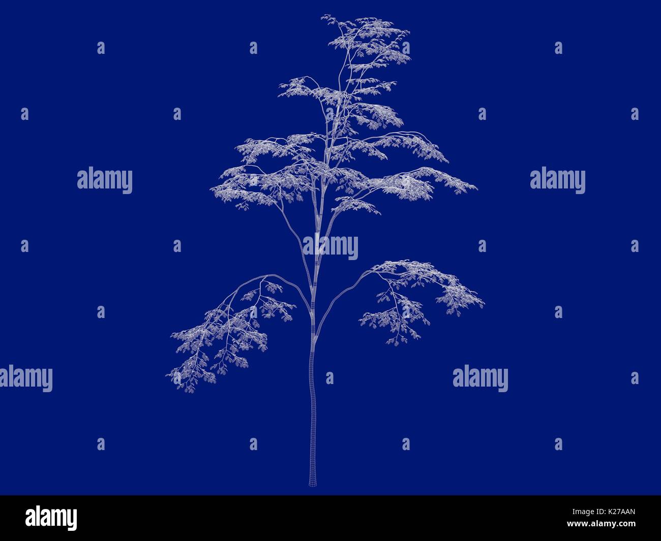 3d rendering of an outlined tree blueprint isolated on blue background ...