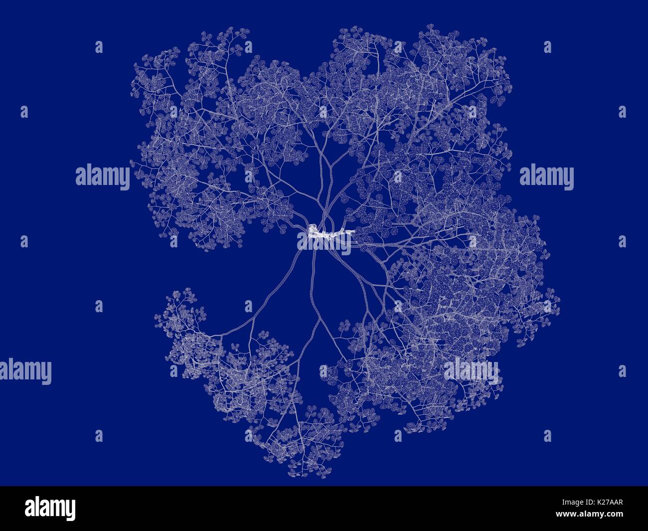 3d rendering of an outlined tree blueprint isolated on blue background ...