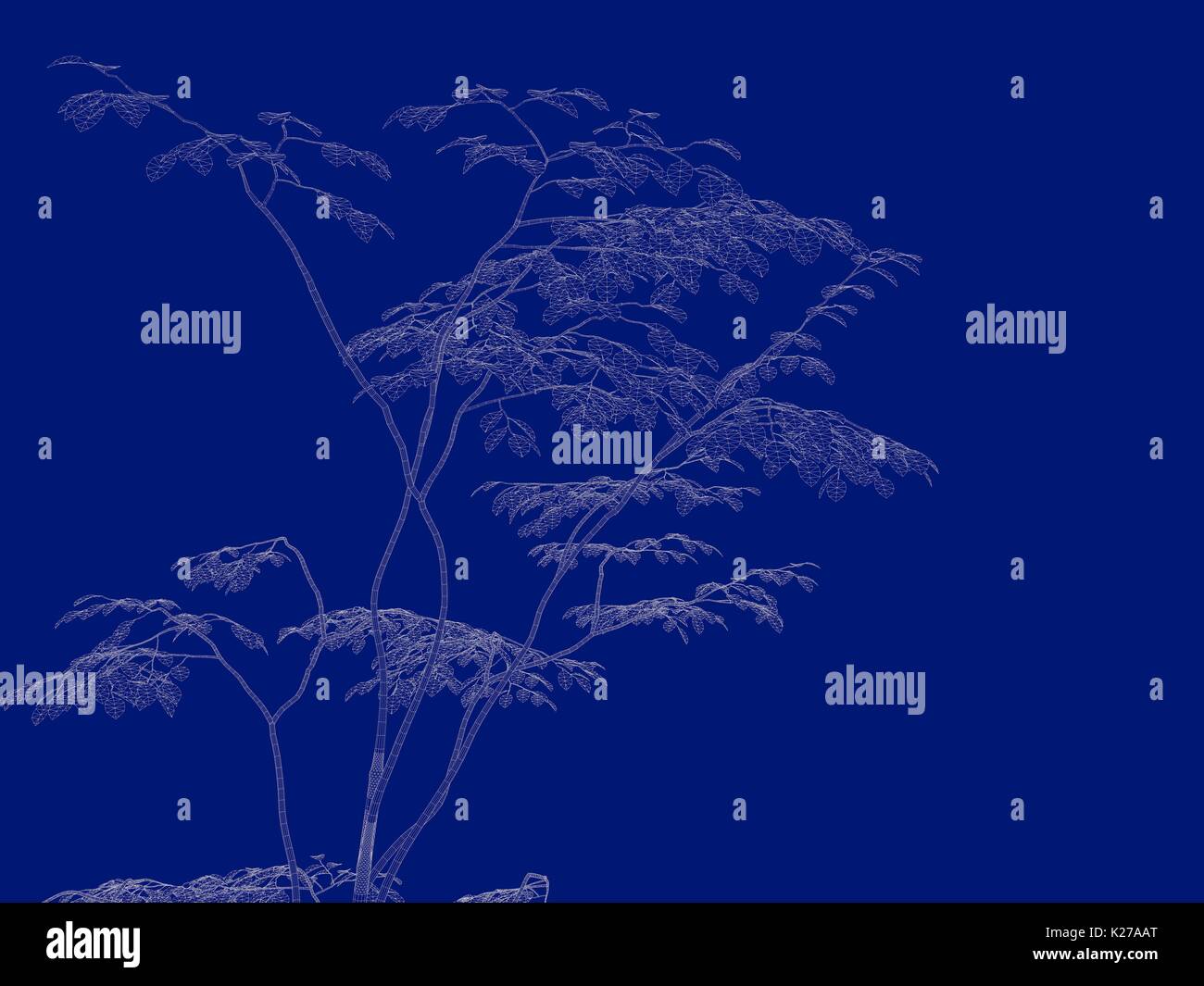 3d rendering of an outlined tree blueprint isolated on blue background ...