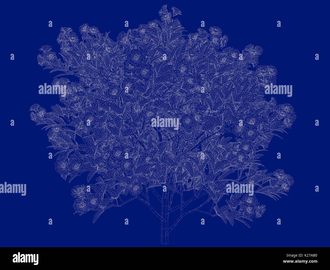 3d rendering of an outlined tree blueprint isolated on blue background ...