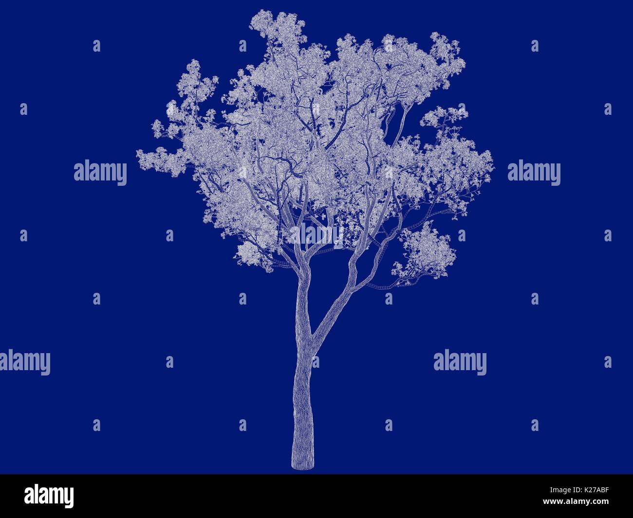 3d rendering of an outlined tree blueprint isolated on blue background ...