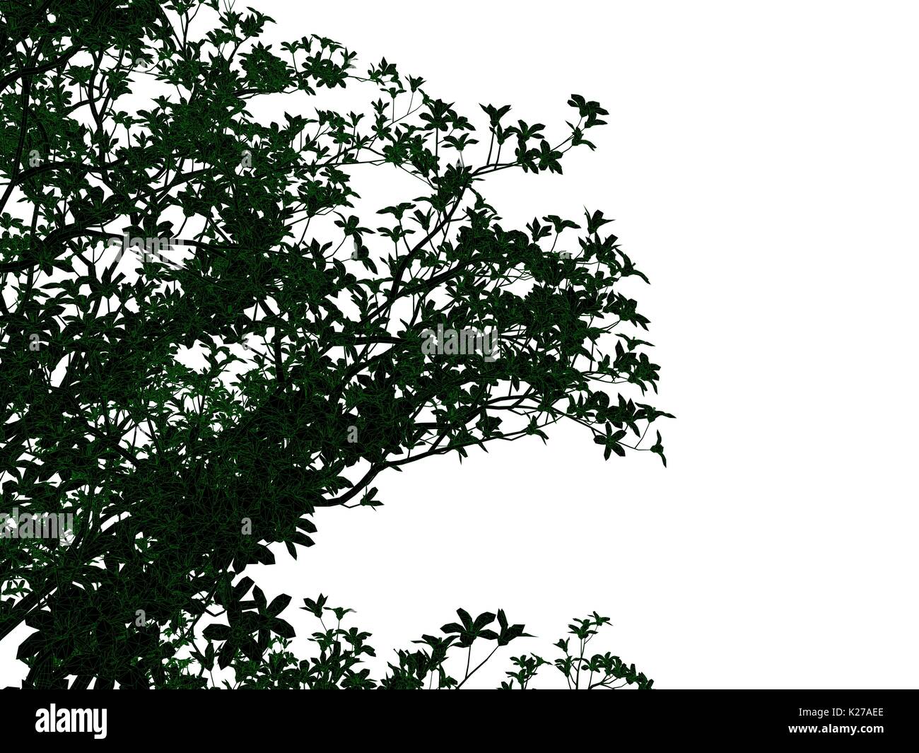 3d rendering of an outlined black tree with green edges isolated on ...