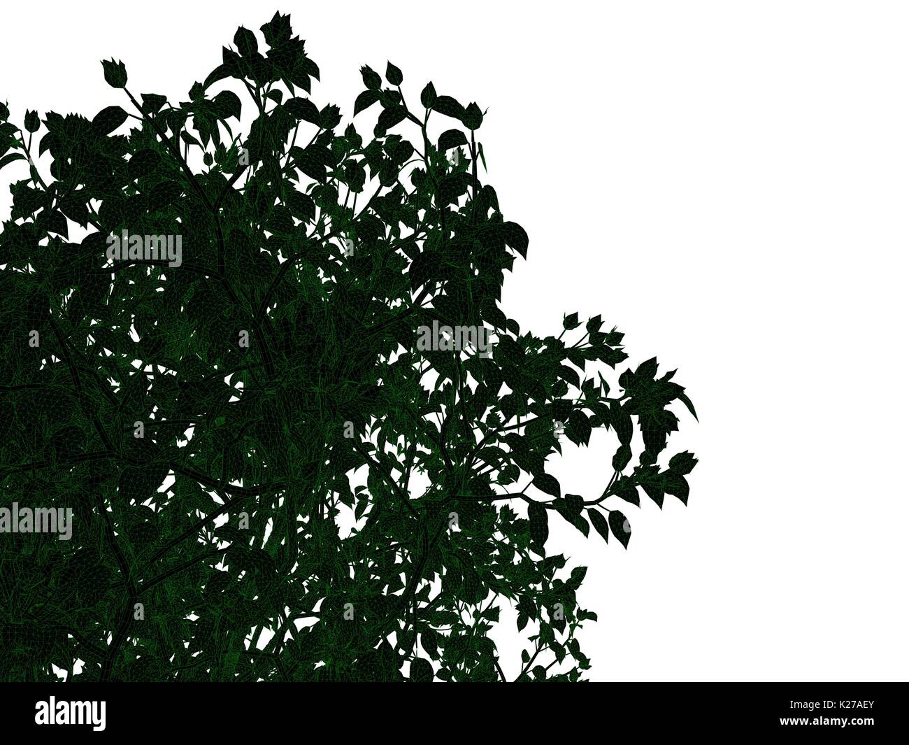 3d rendering of an outlined black tree with green edges isolated on ...