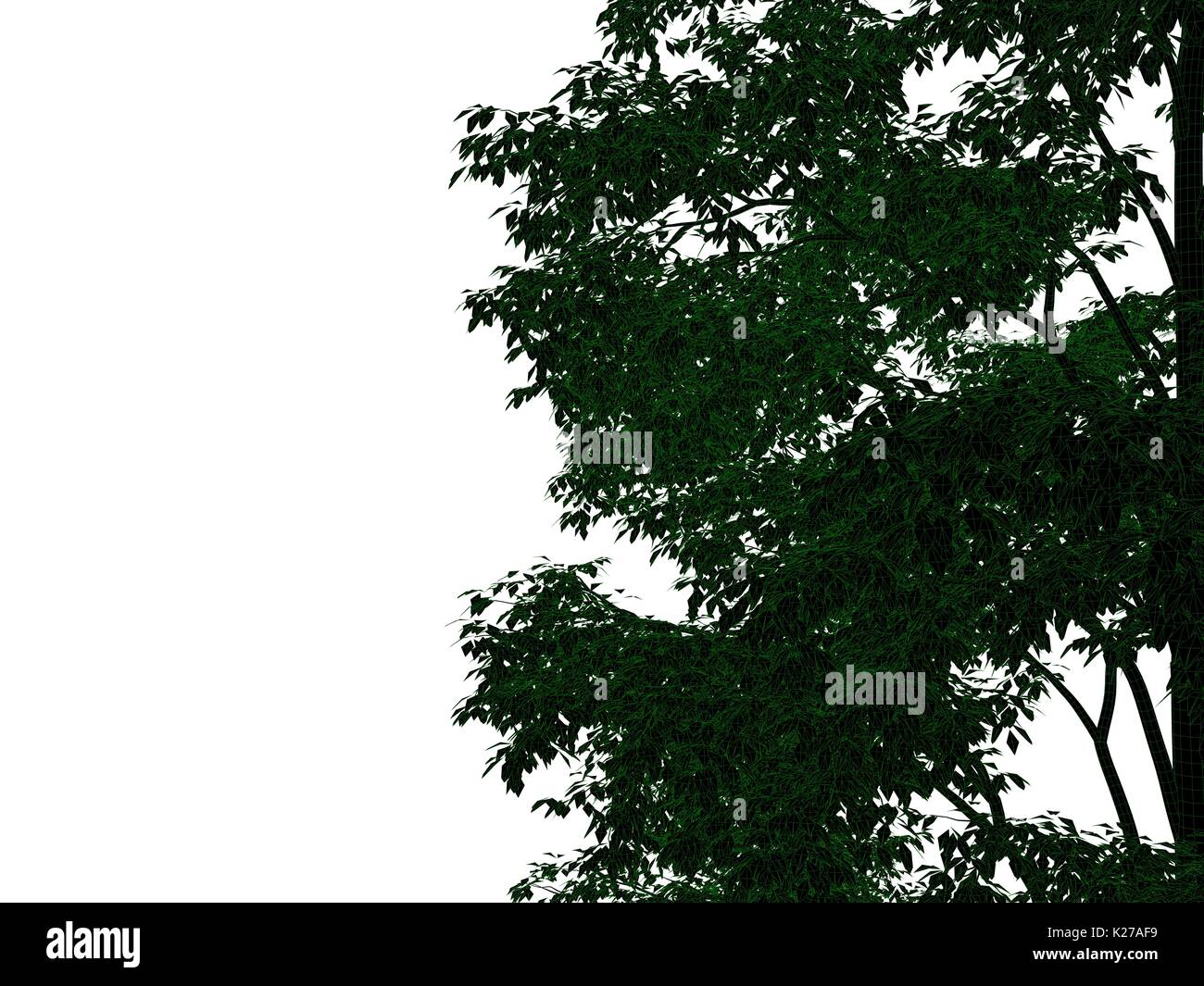 3d rendering of an outlined black tree with green edges isolated on ...