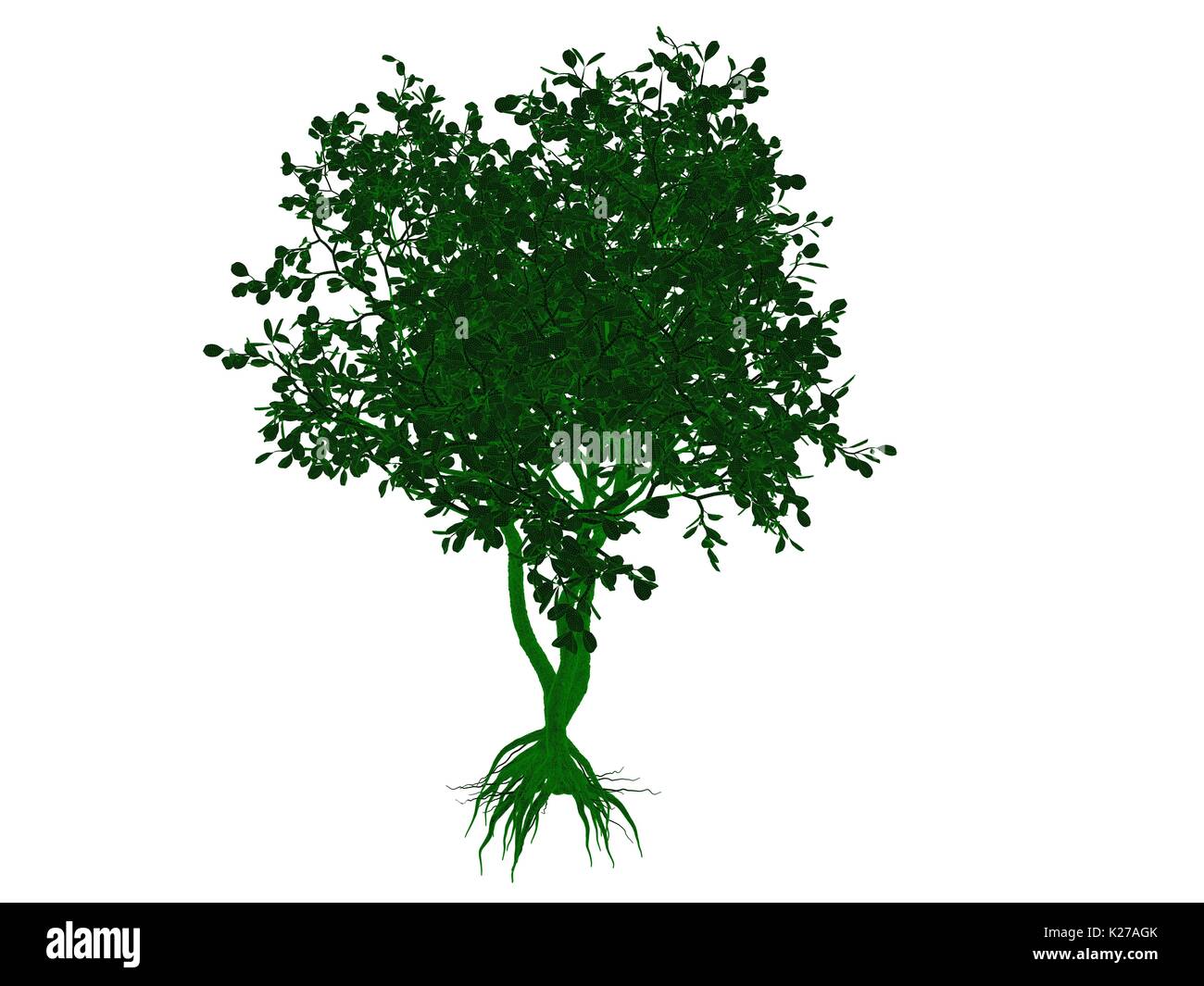 3d rendering of an outlined black tree with green edges isolated on ...