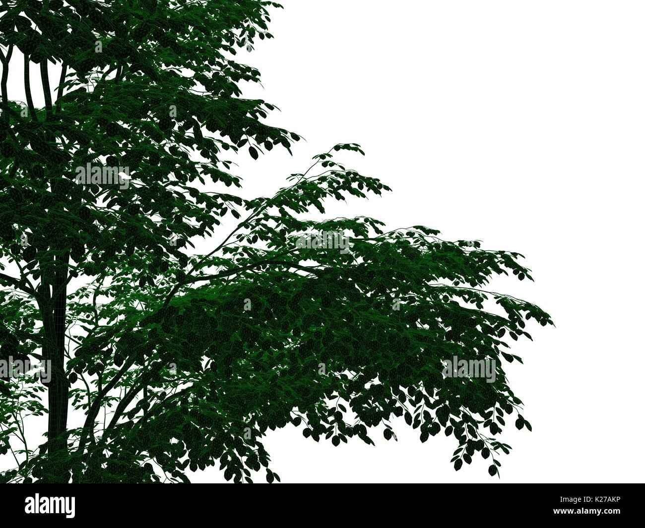 3d rendering of an outlined black tree with green edges isolated on ...