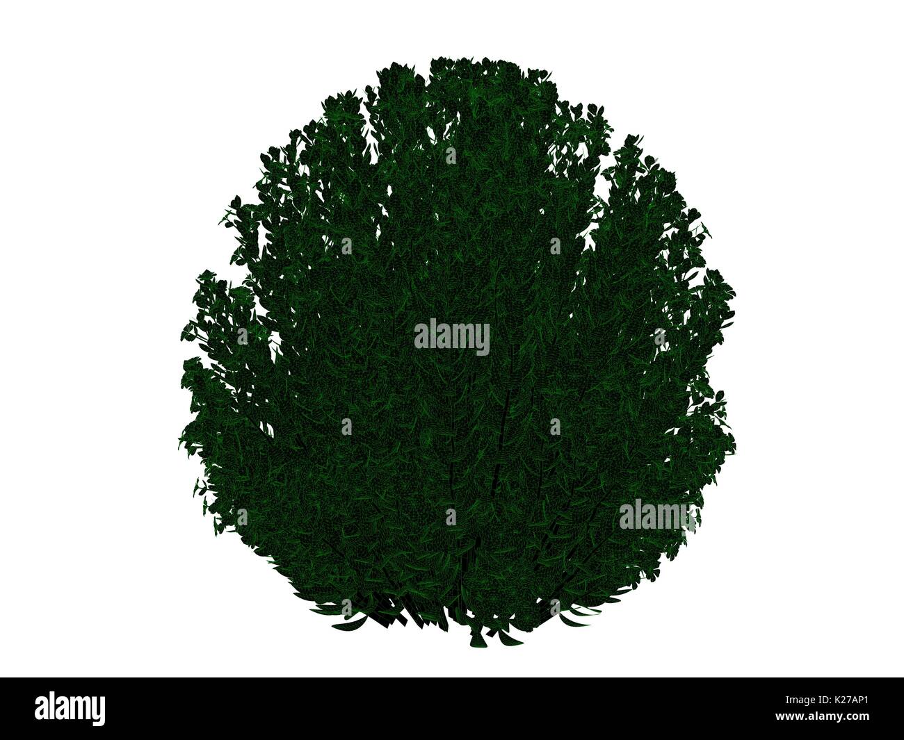 3d rendering of an outlined black bush with green edges isolated on ...