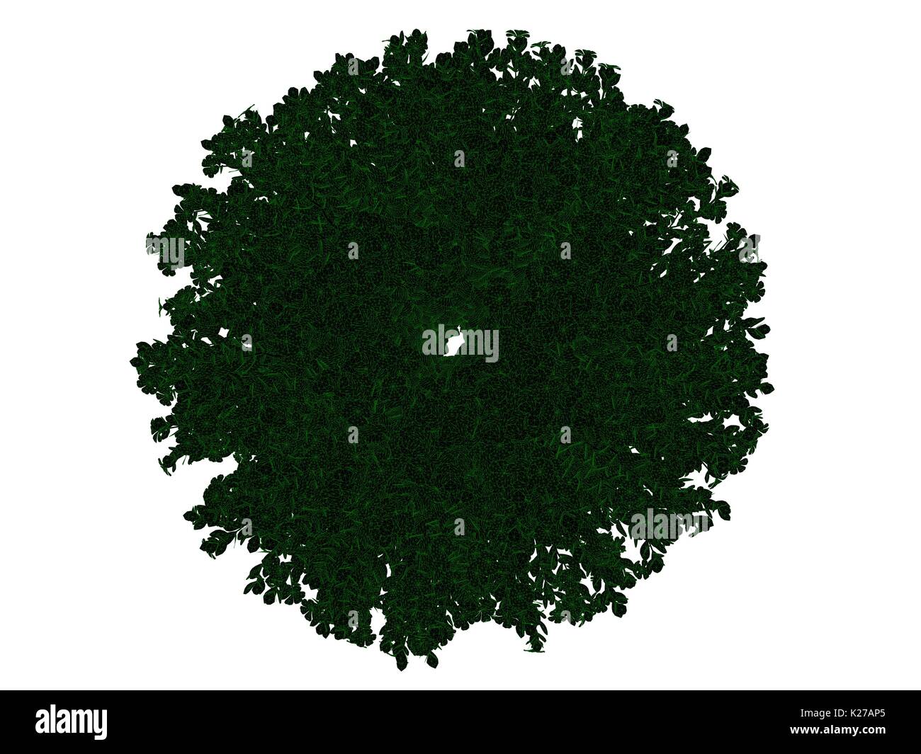 3d rendering of an outlined black bush with green edges isolated on ...