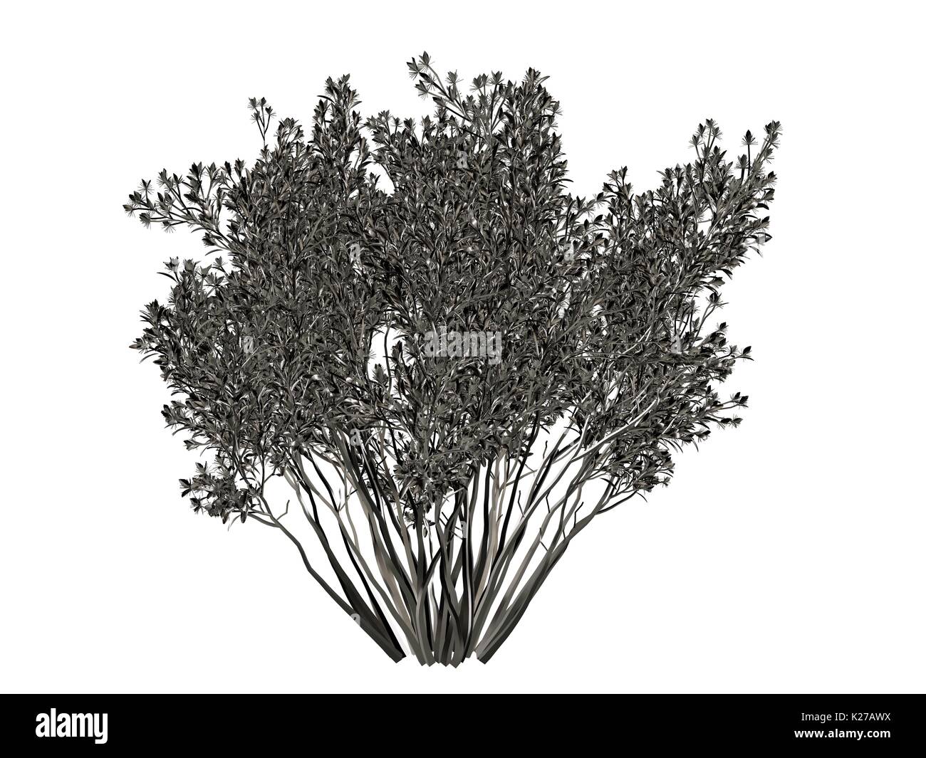 3d rendering of a silver tree isolated on a white background Stock ...