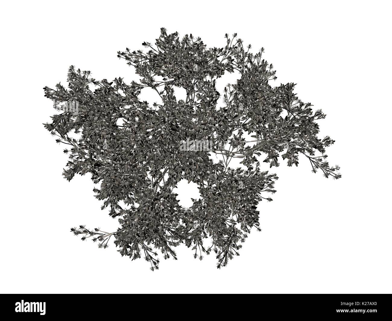 3d rendering of a silver tree isolated on a white background Stock ...