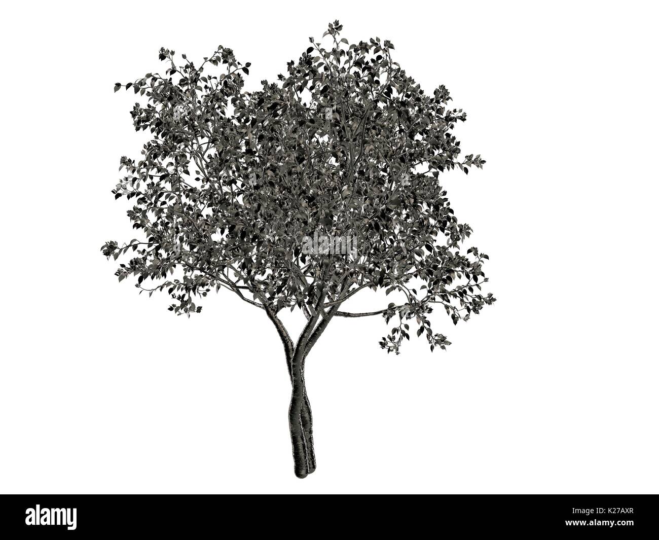 3d rendering of a silver tree isolated on a white background Stock ...