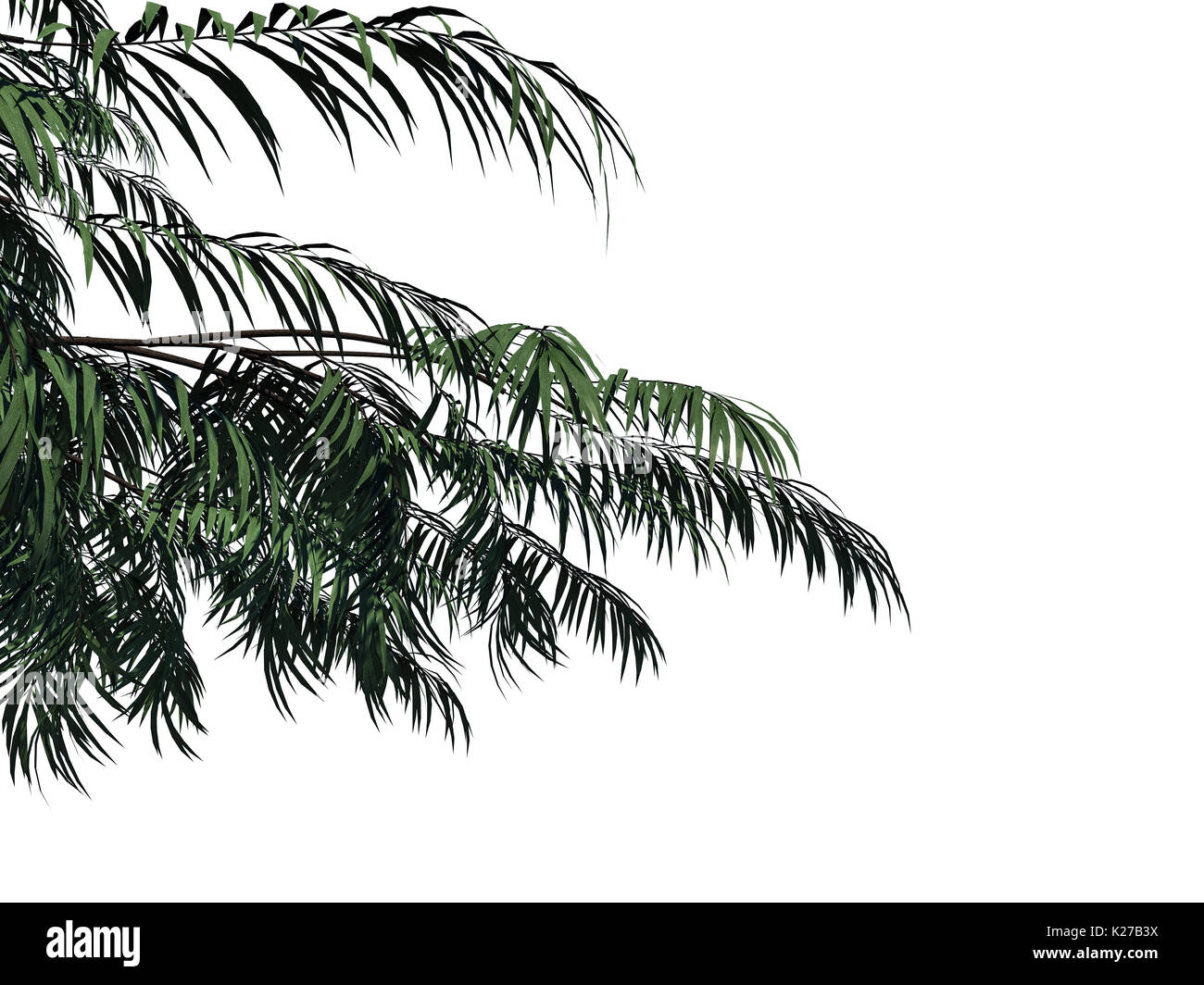 3d rendering of a foreground tree branch isolated on white background ...