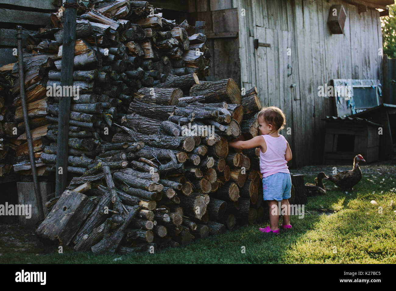 Child playing in backyard Stock Photo - Alamy