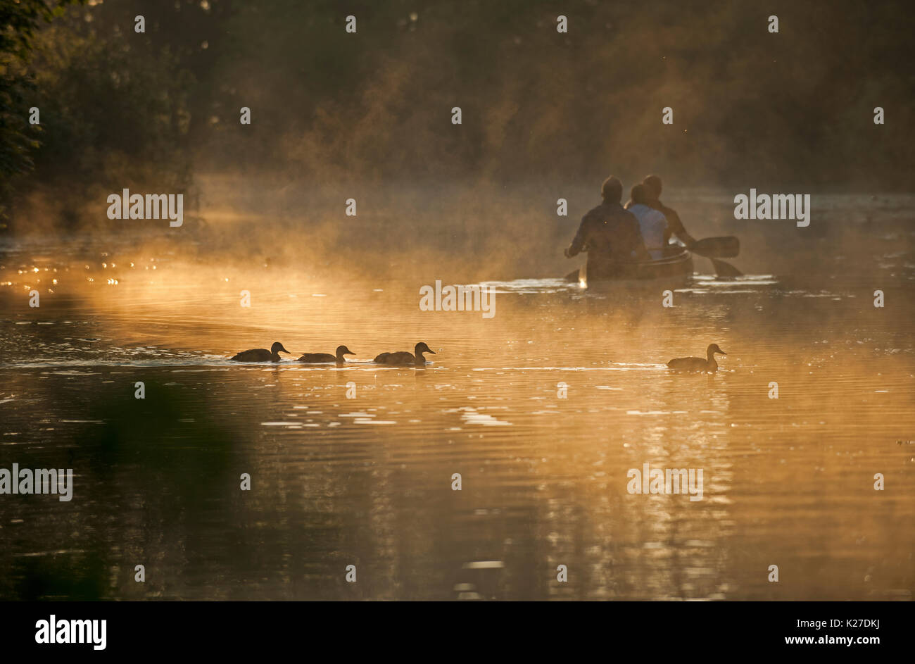 Schwentine hi-res stock photography and images - Alamy