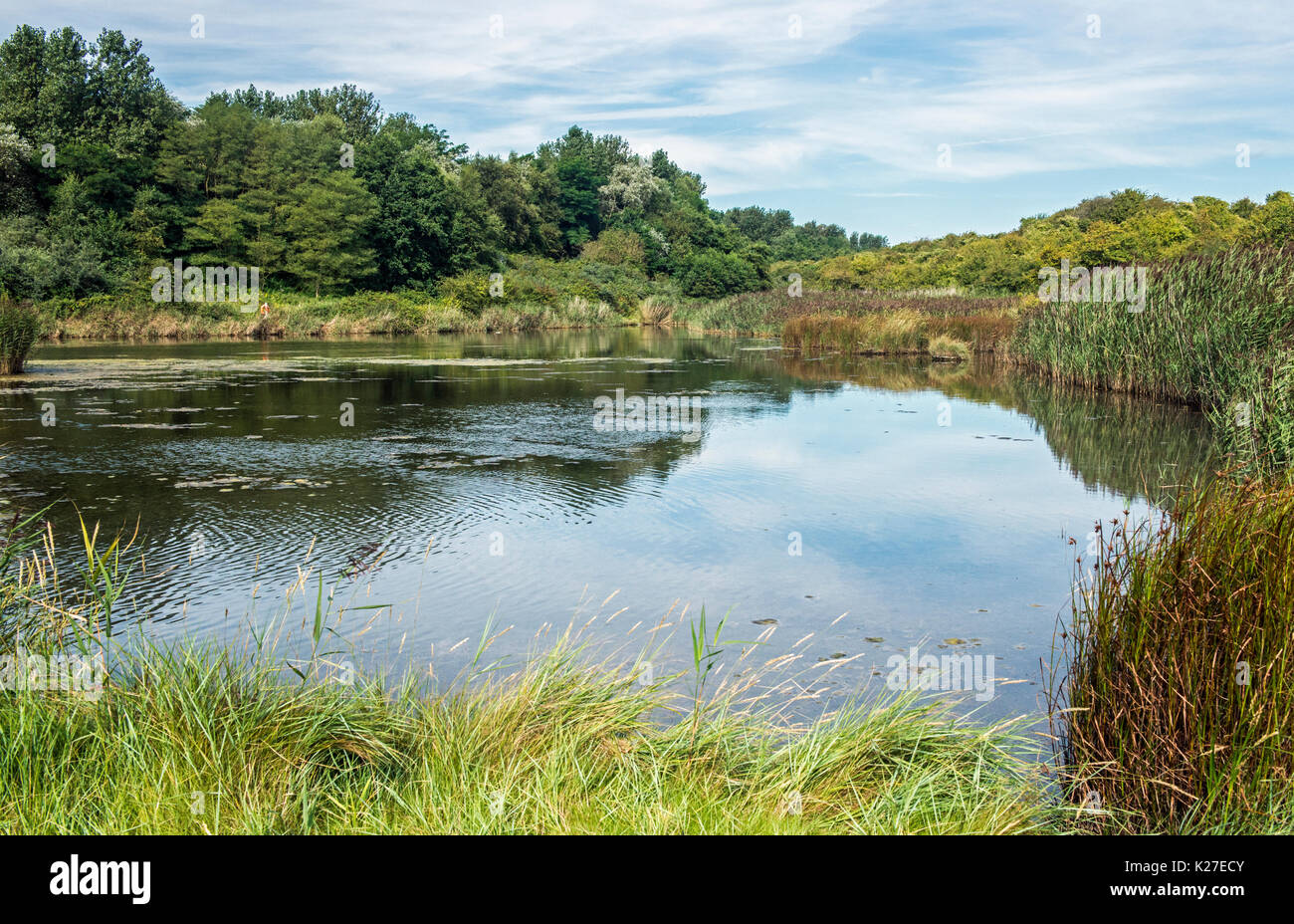 Large Pond in the East Aberthaw Nature Reserve South Wales Stock Photo ...