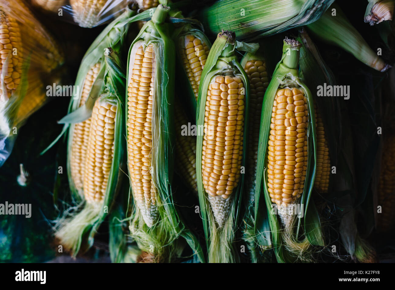 Raw yellow corncobs on hi-res stock photography and images - Alamy