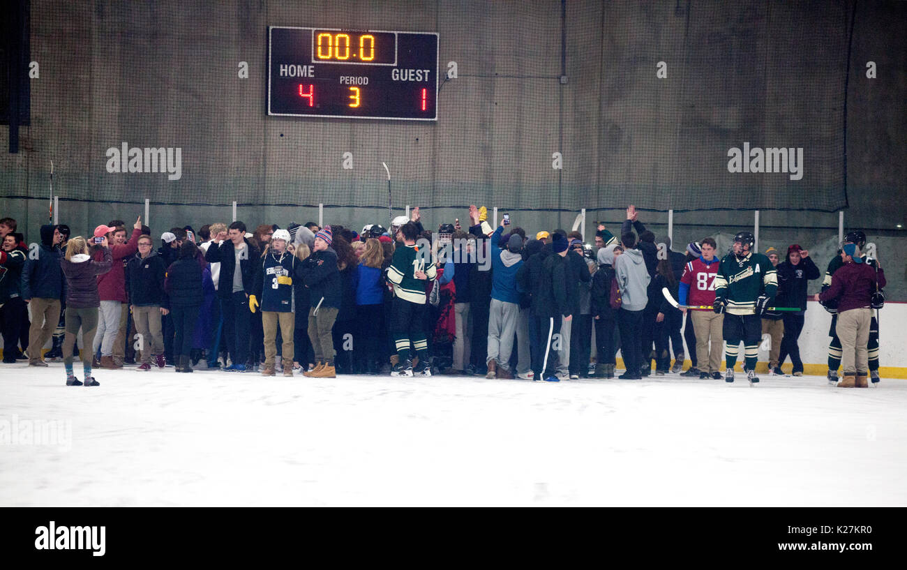 Fans have run out on the ice and celebrating hockey victory at their ...