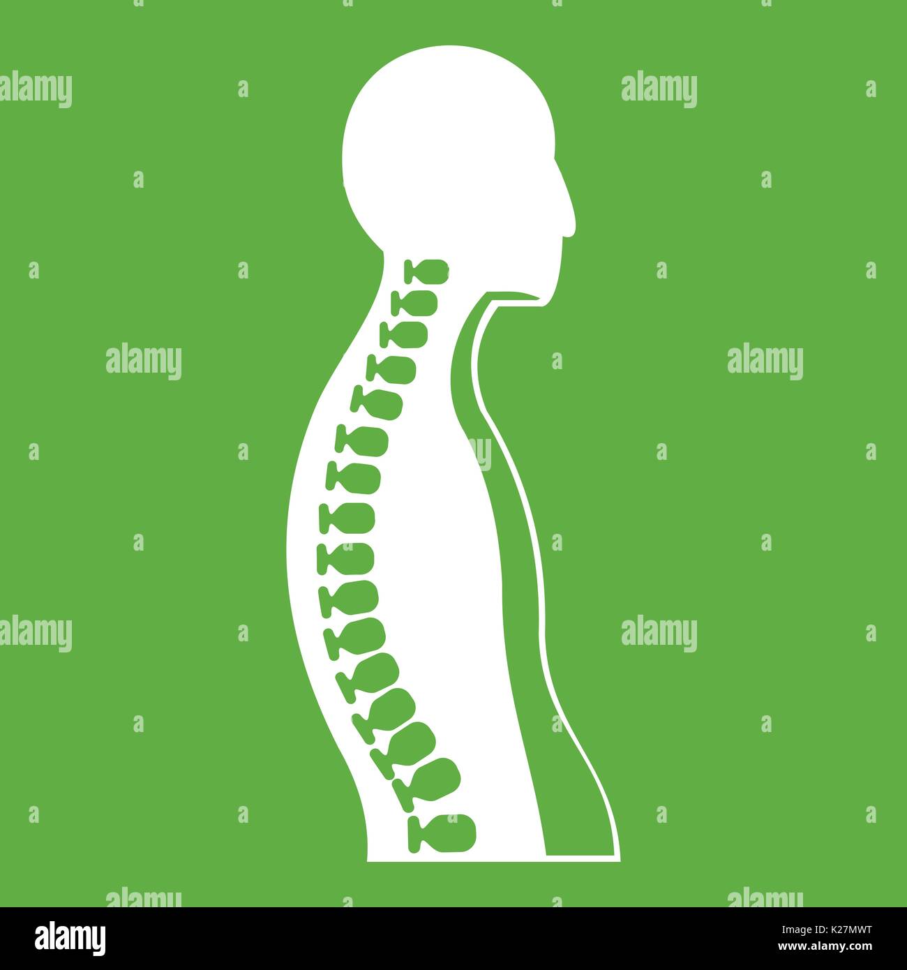 Human spine icon green Stock Vector Image & Art - Alamy