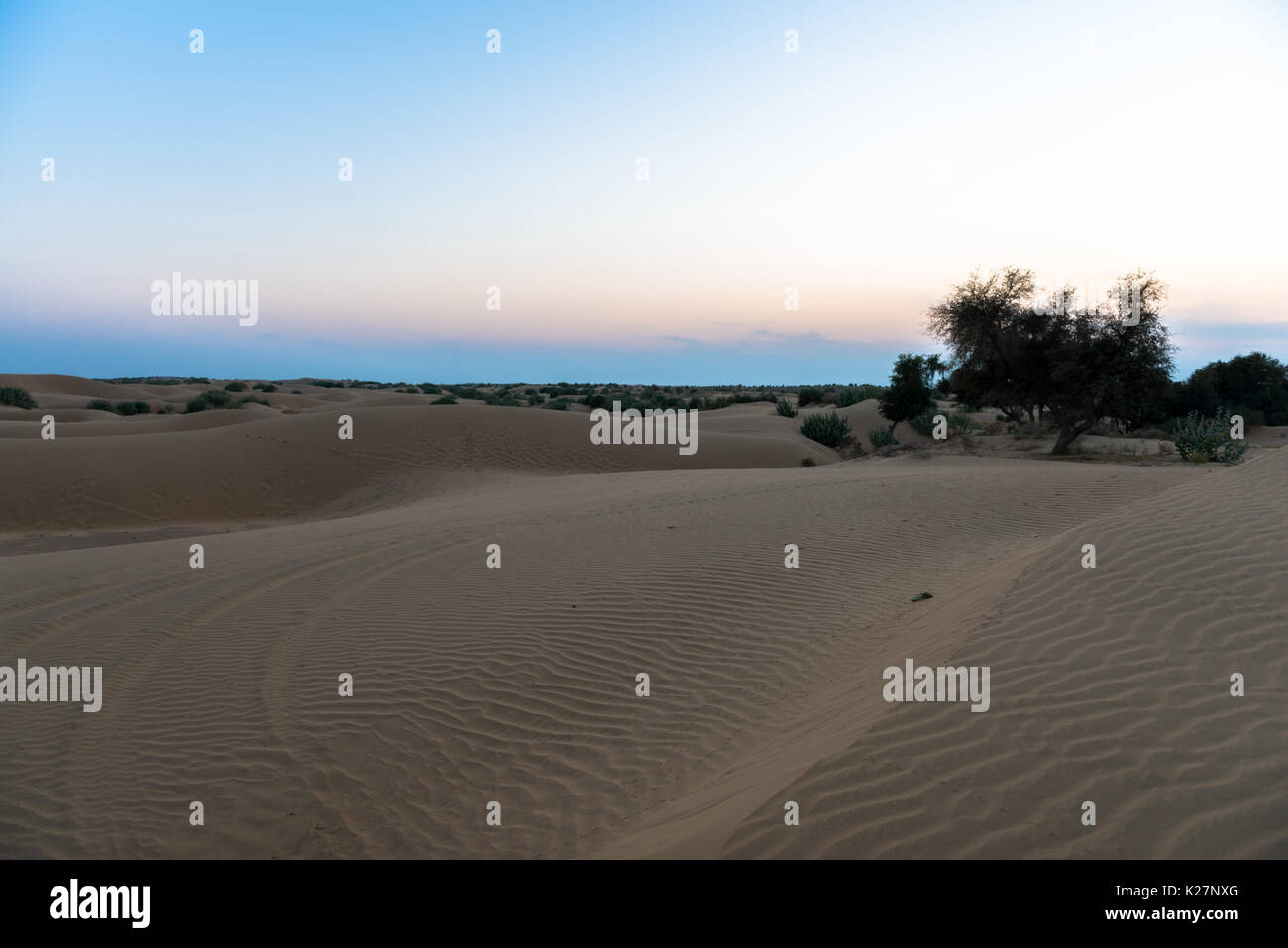 Horizontal picture of sand dunes with colorful sky in Thar Desert ...