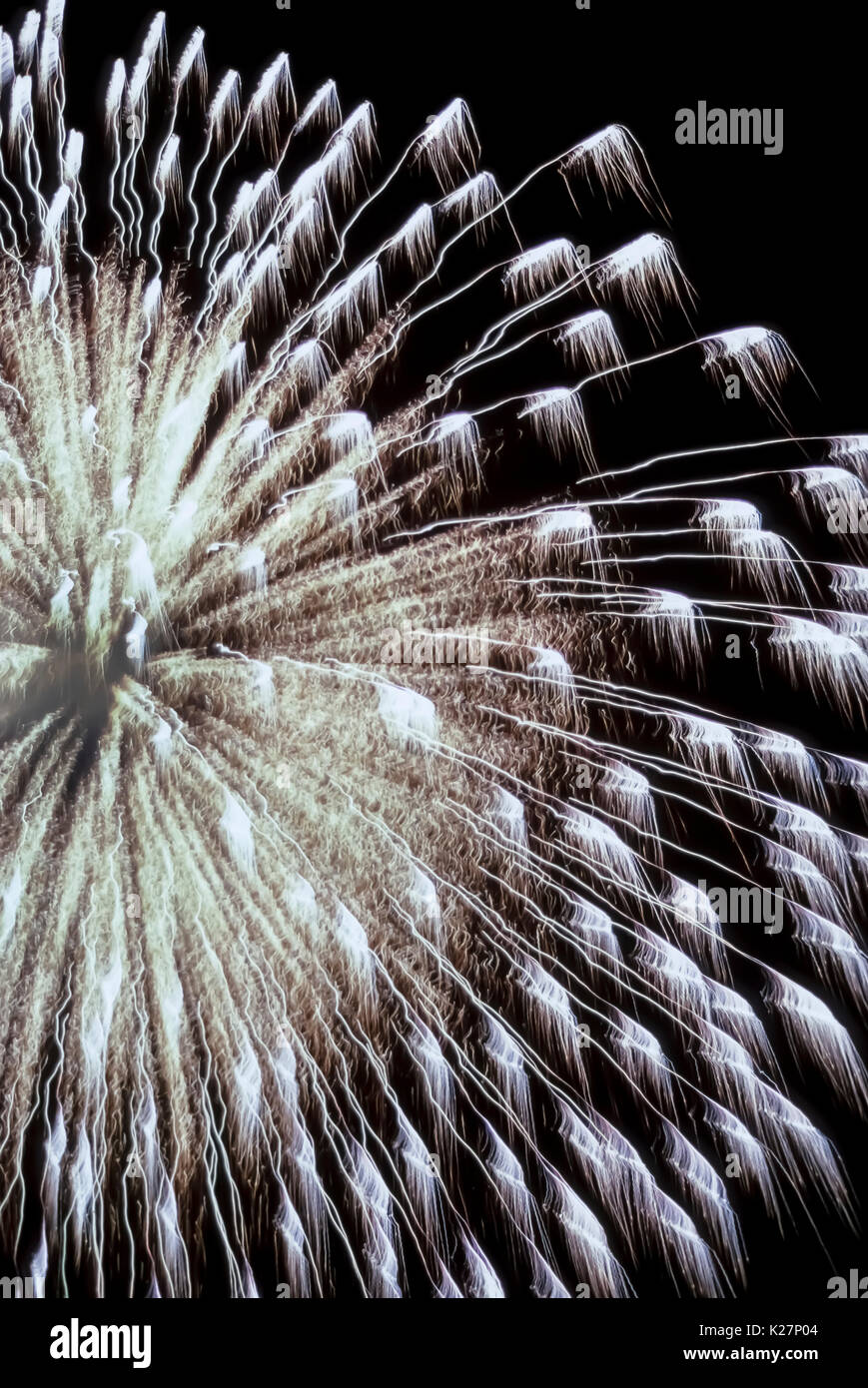 An aerial firework explodes with a shower of feathery streaks created ...