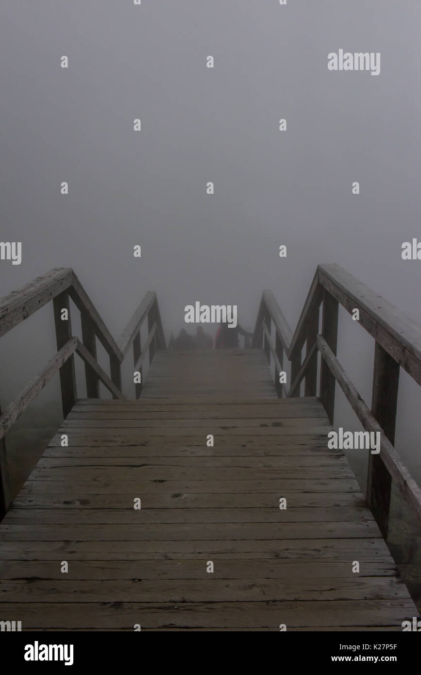 Fog and wind make visibility low on top of Mount Washington State Park ...