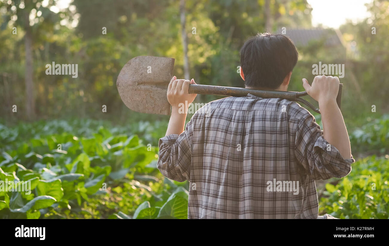Spade on farmer hand and back stand on agriculture filed Stock Photo ...