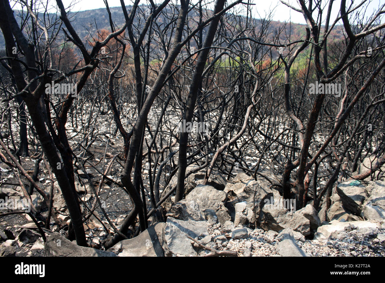 Environment disaster hi-res stock photography and images - Alamy