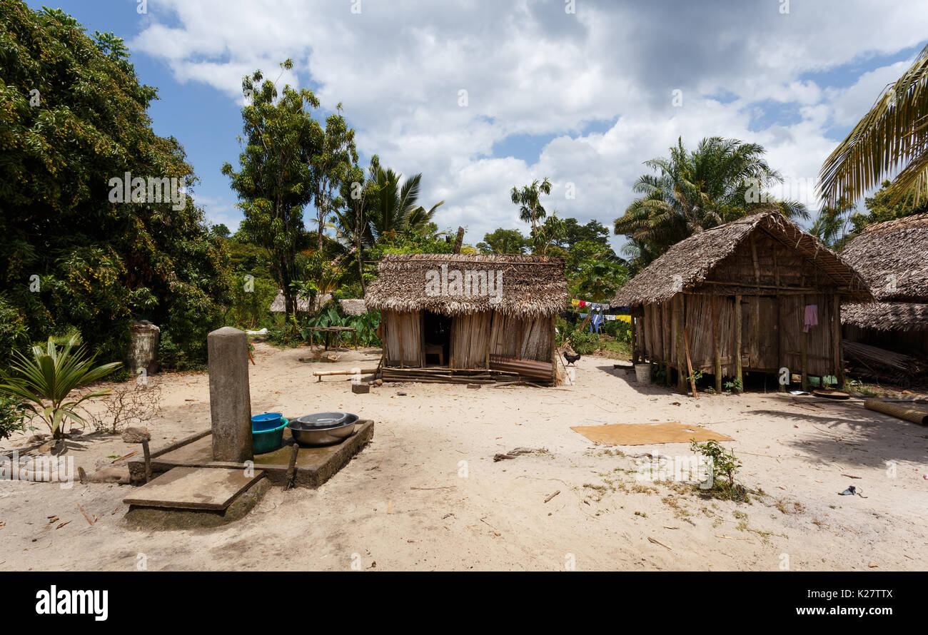 Traditional african malagasy hut in masoala forest reserve, typical ...